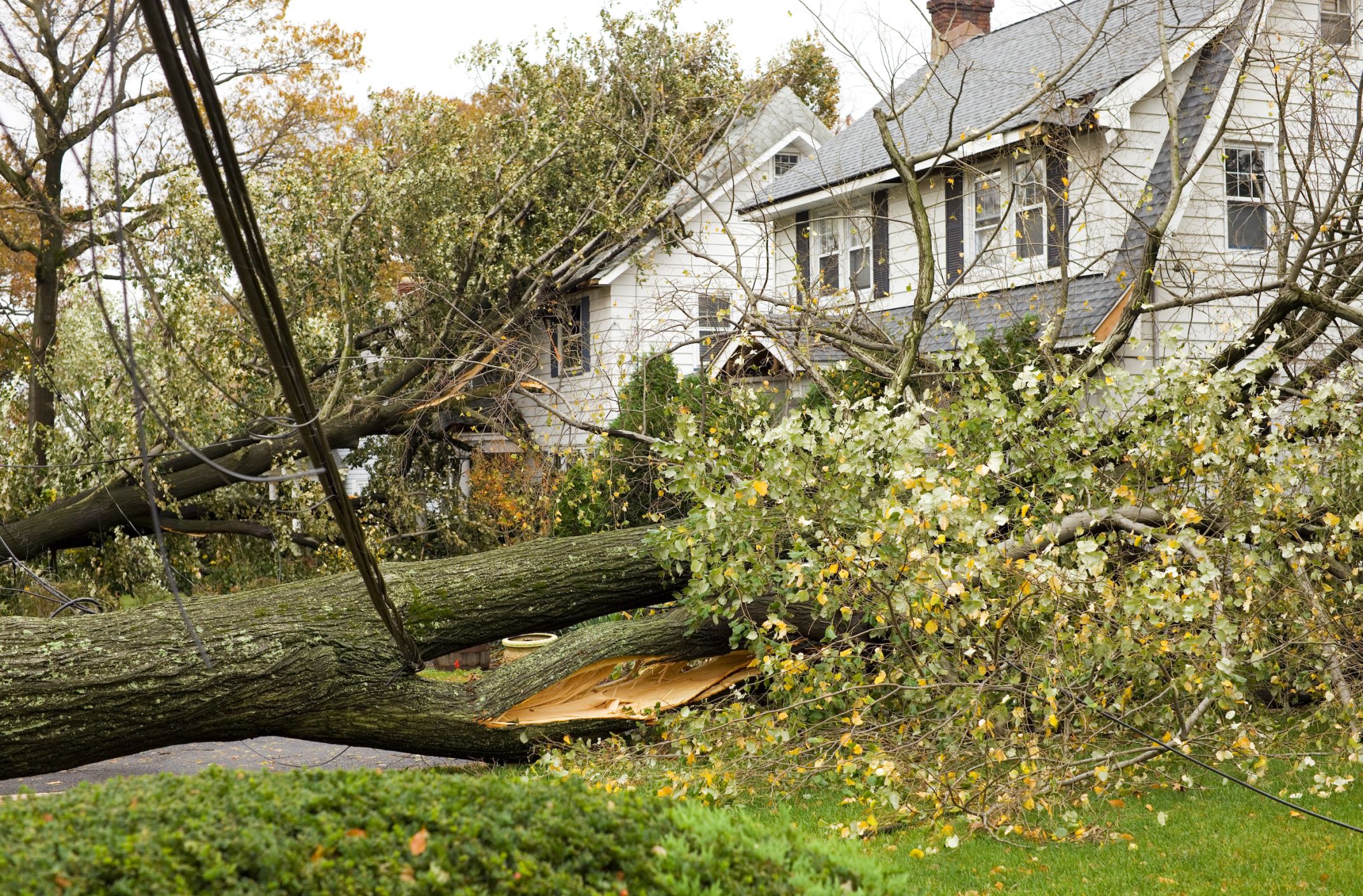 Insurance impacts of European windstorms