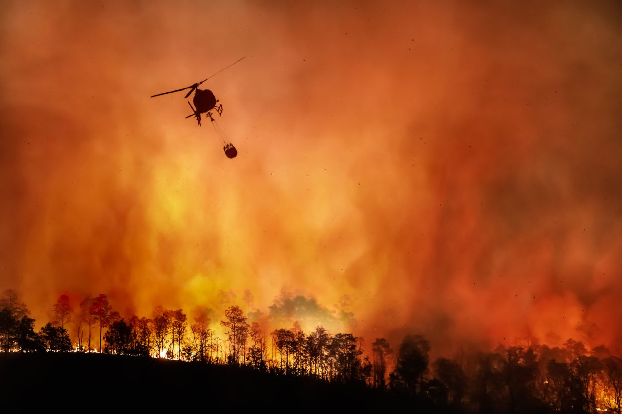 Tracking global wildfires